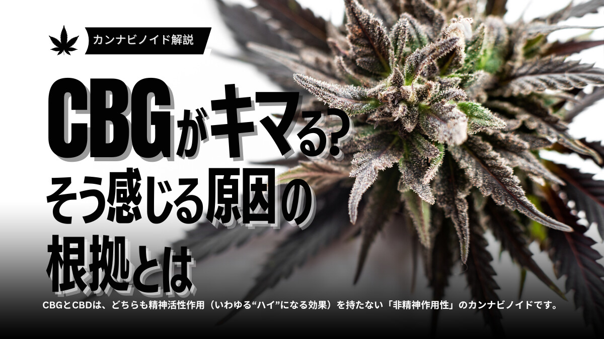 CBGはキマる？体感・効果・安全性を研究ベースで徹底解説！ - KUSH JP